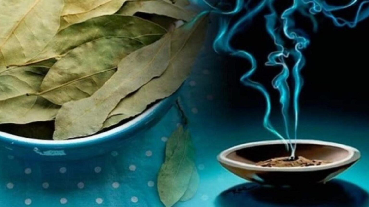 Ritual cu foi de dafin. Cum le poți folosi pentru a atrage doar lucruri ...