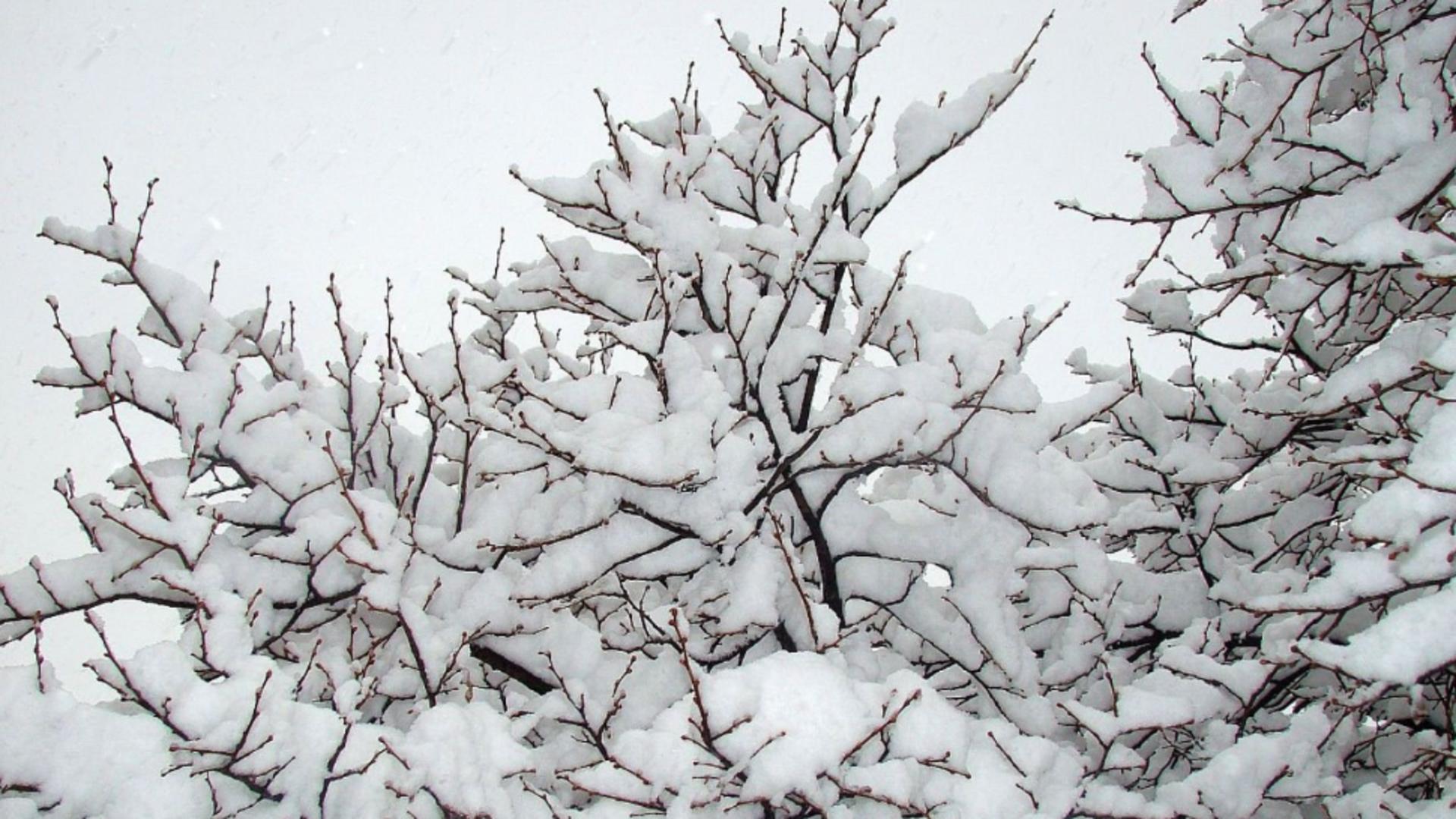 Vremea 2 martie: Se schimbă temperaturile radical, în ce zone va ninge ...