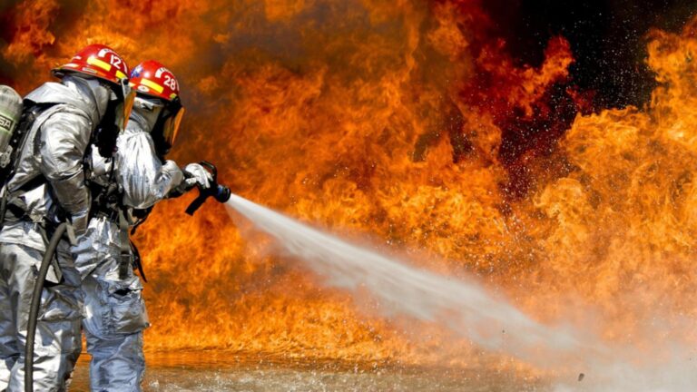 Incendiu devastator în Arad. Un adăpost de animale, mistuit de flăcări ...