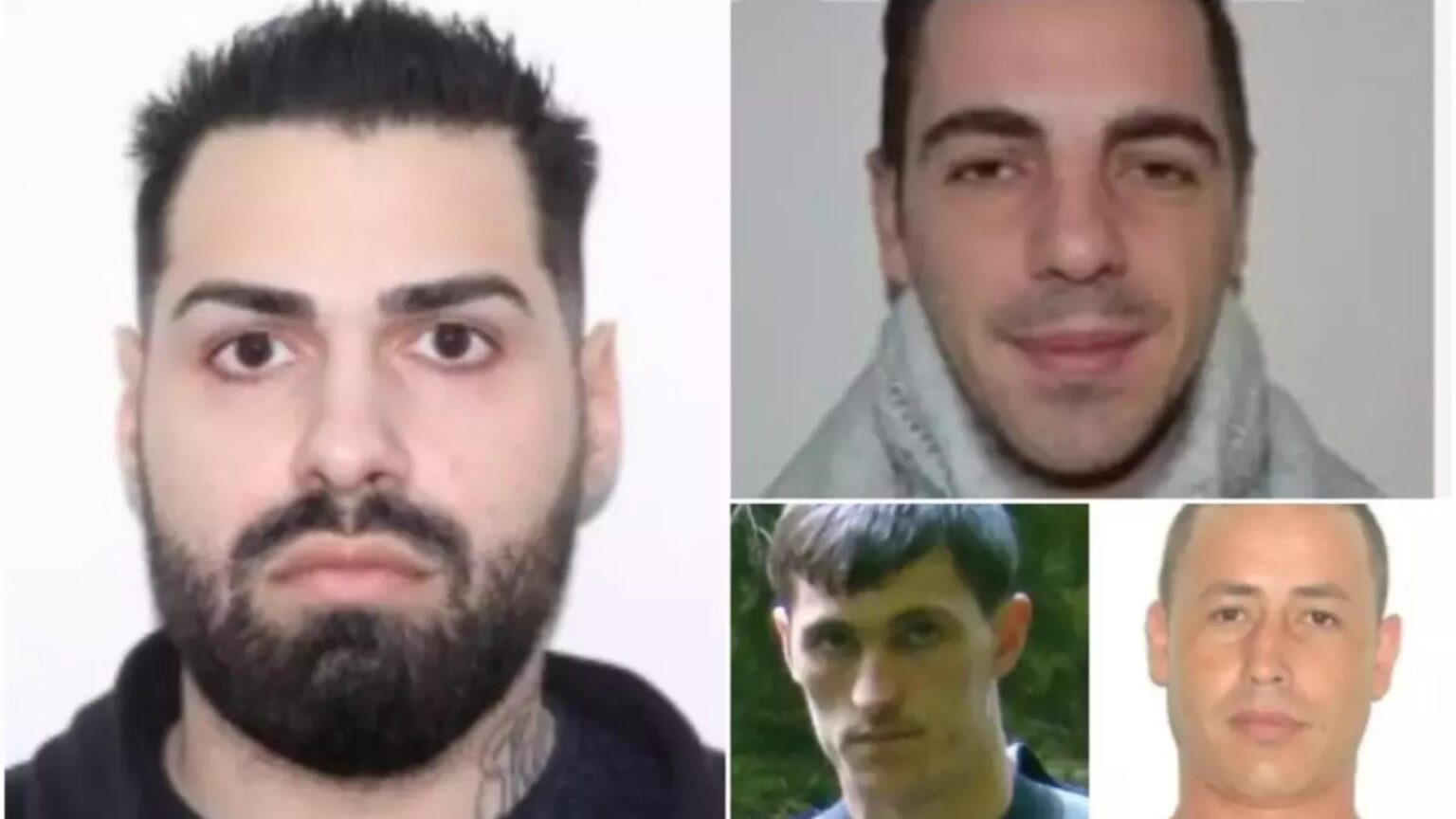 Interlopi și infractori urmăriți internațional, aduși în România din ...