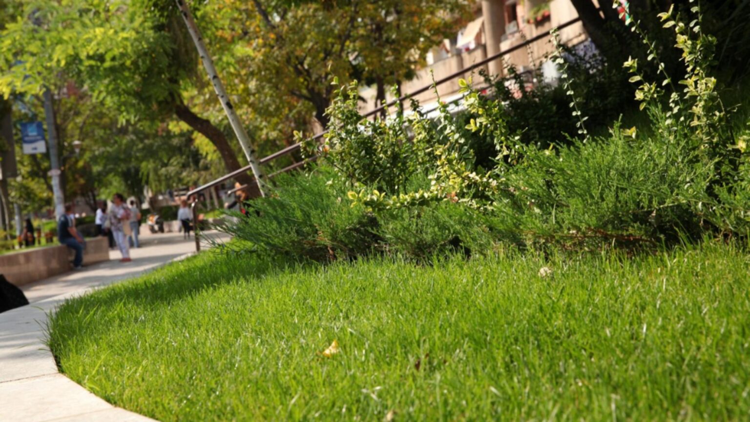 Bucureștiul și deficitul de spațiu verde util. Un oraș mare, cu o ...
